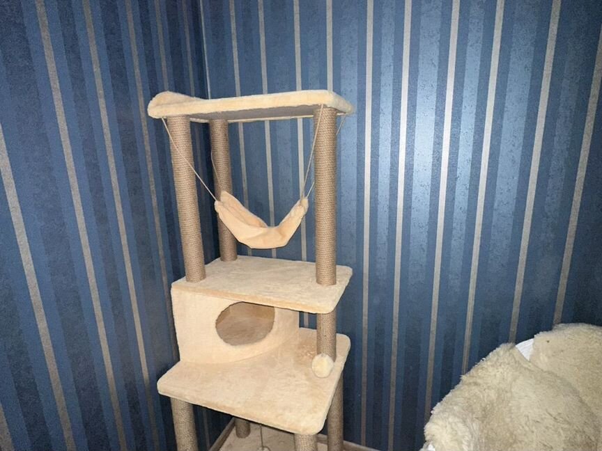 Домин для котика