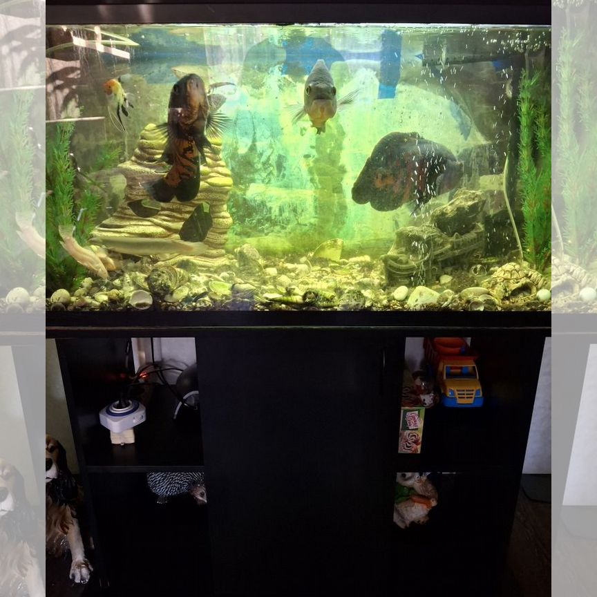 Продам аквариум бу