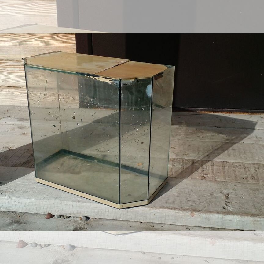 Аквариум, террариум