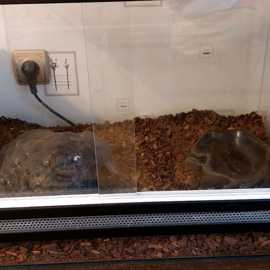 Горизонтальный террариум