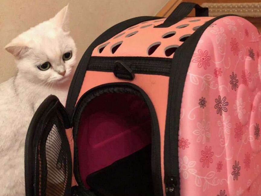 Переноска для животных