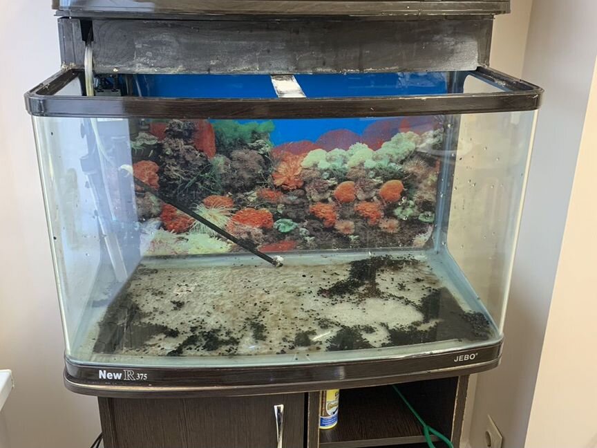 Аквариум с подогревом и всем оснащением