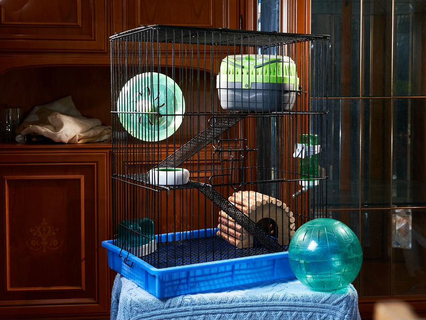 3-х этажная клетка для шиншилл, крыс, дегу