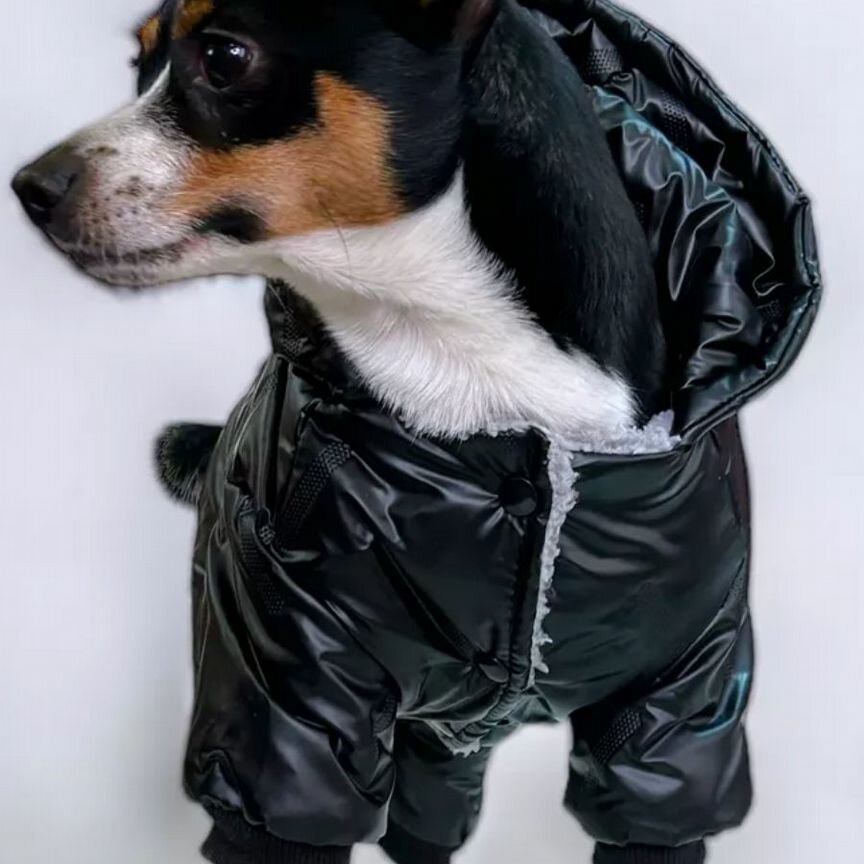 Комбинезон для маленькой собаки