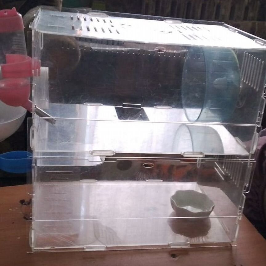 Все для хомяка