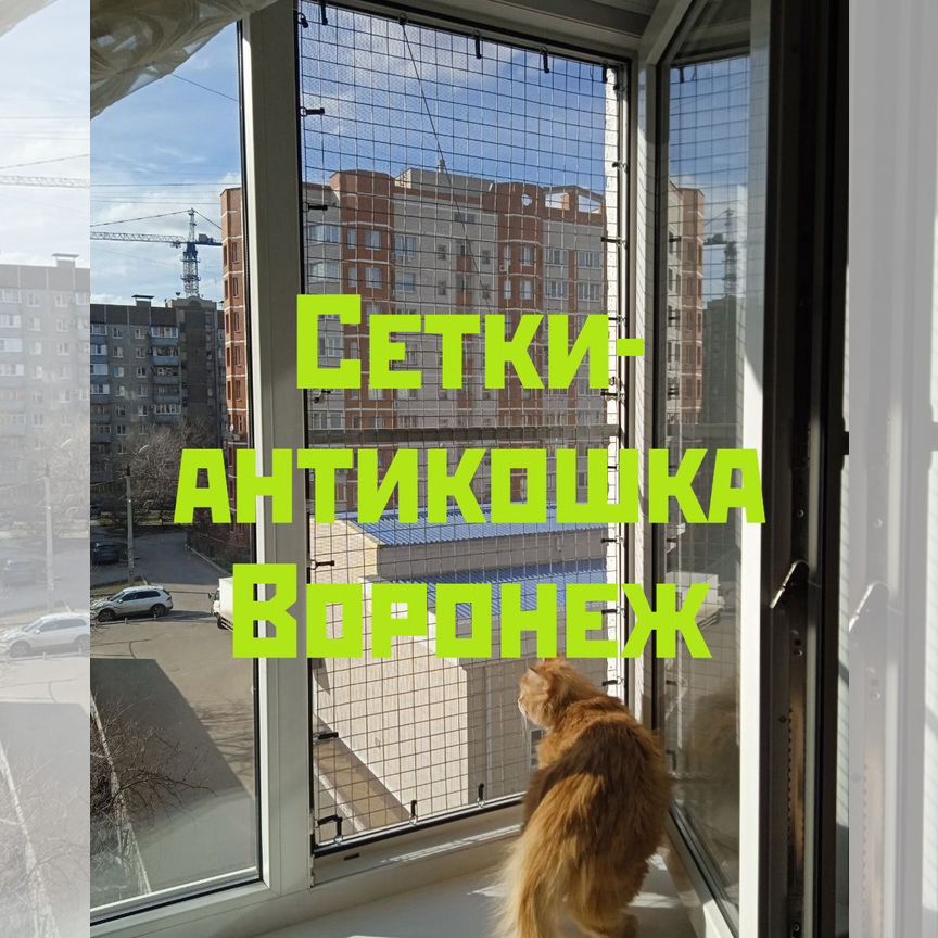 Сетка антикошка