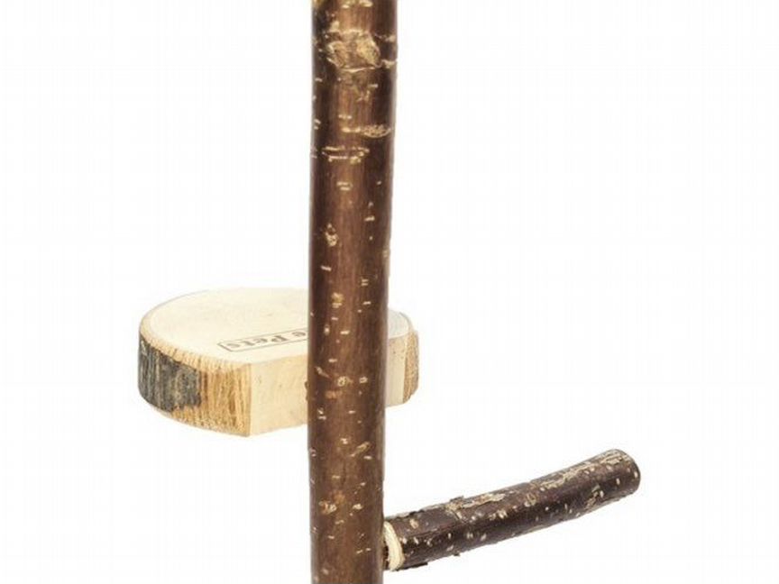 Присада для птиц