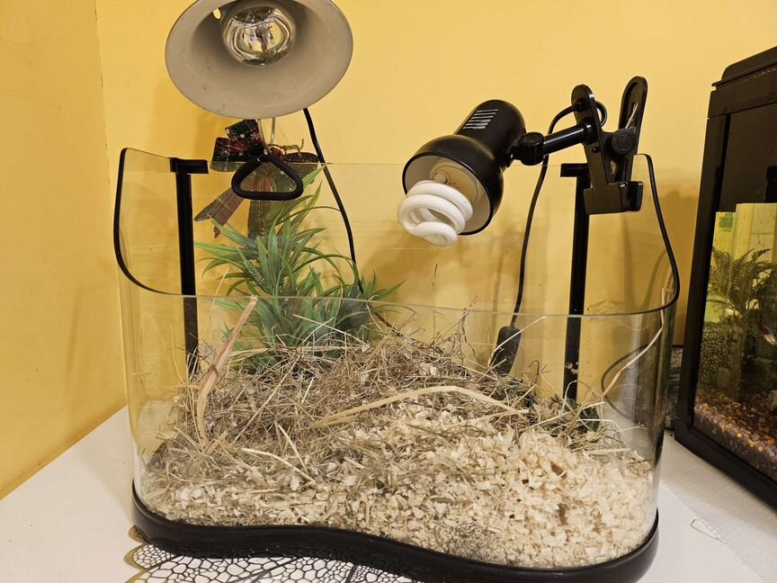 Террариум для сухопутной черепахи