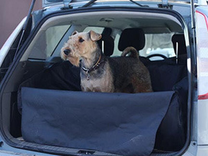Защитные чехлы для перевоза животных в автомобиле