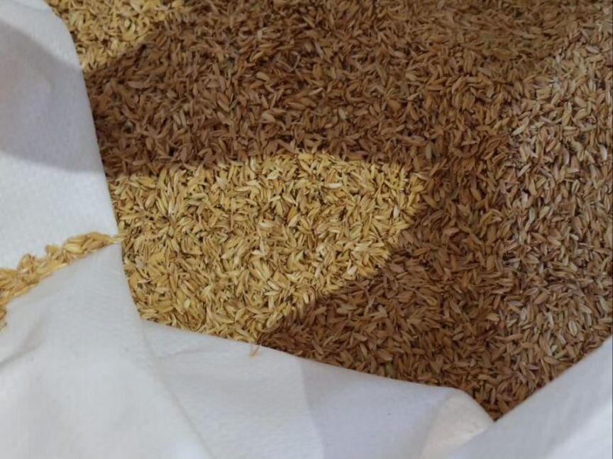 Шелуха рисовая