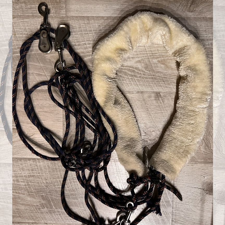 Шлея Пессоа