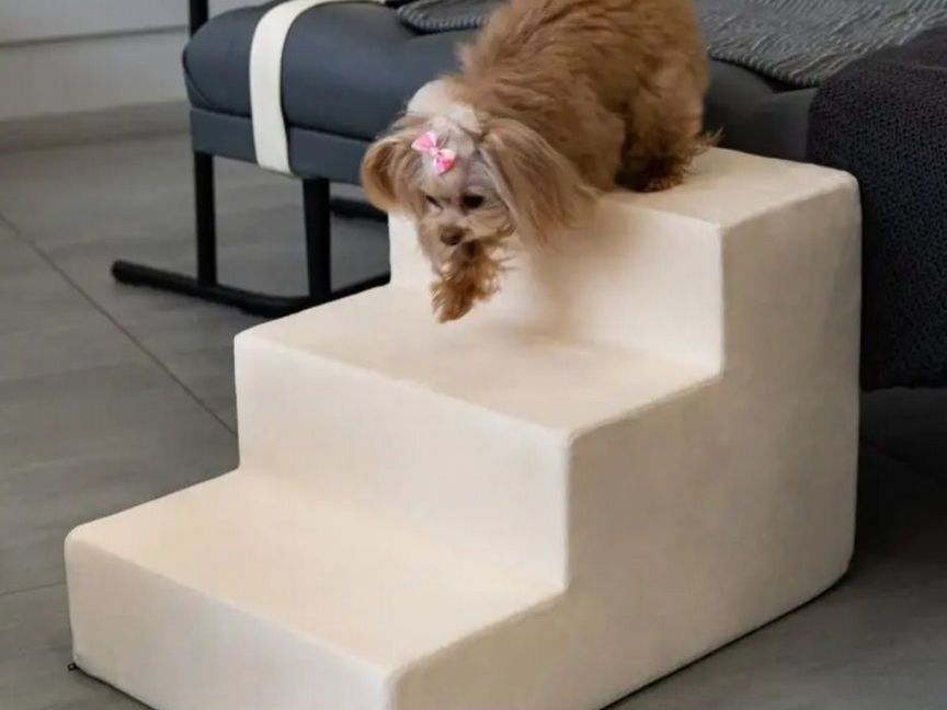 Лестница для собак