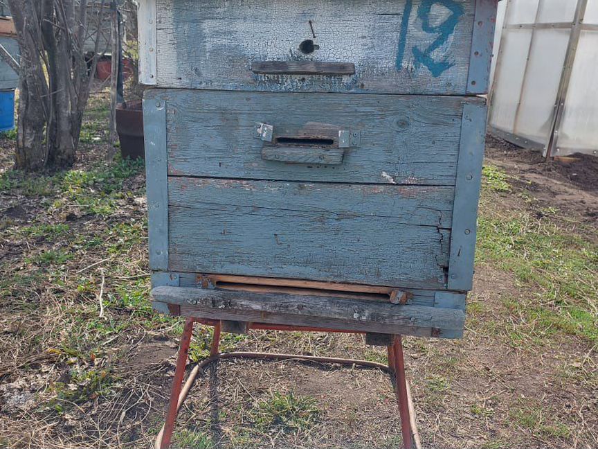 Улей для пчел бу