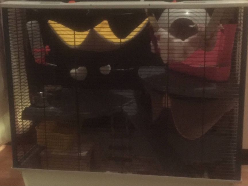 Клетка для грызунов большая