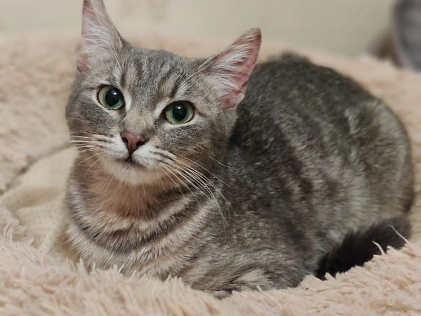 Нормальный у меня характер