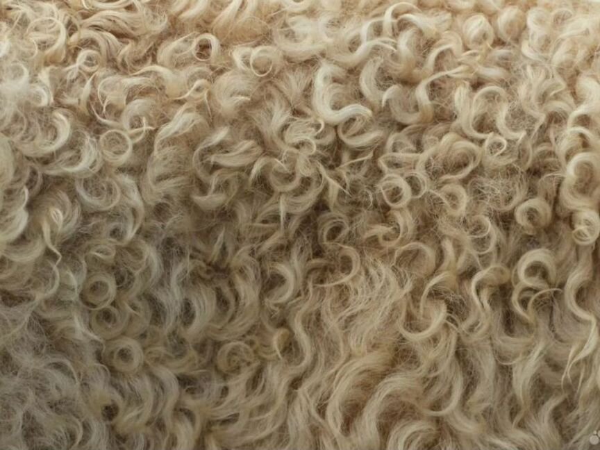 Шерсть овечья белая и черная