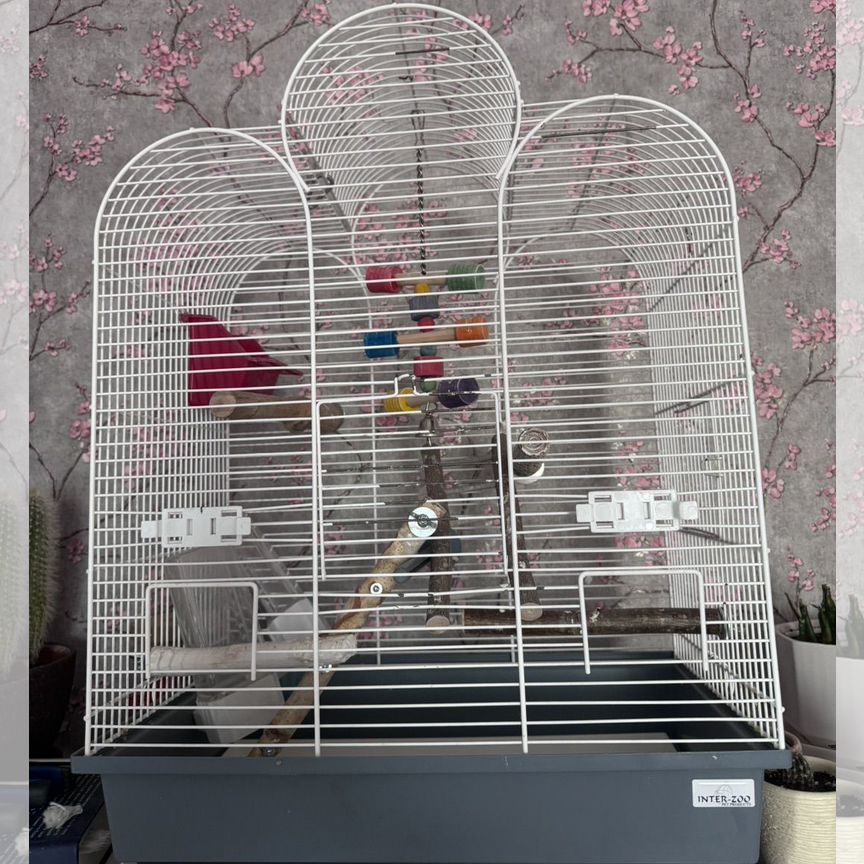 Клетка для попугая
