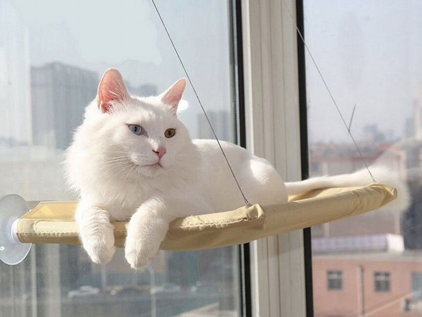 Гамак для кошек на окно на присосках