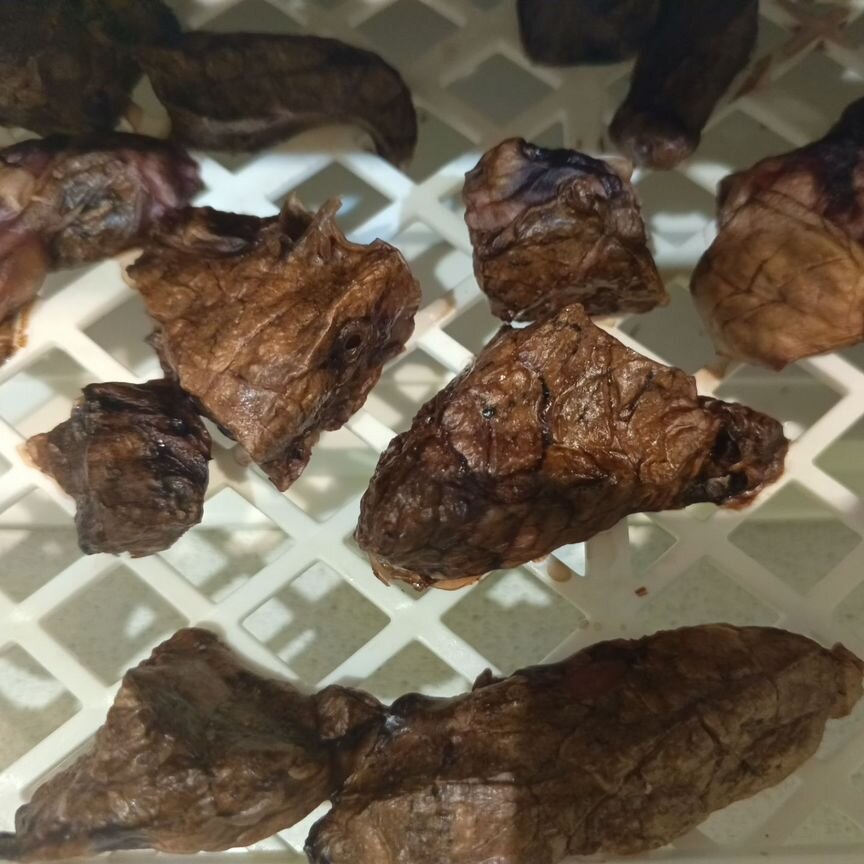 Лакомства для собак