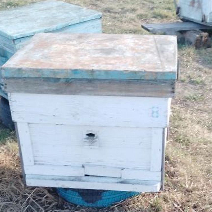 Ульи для пчел бу 16 - рамочные