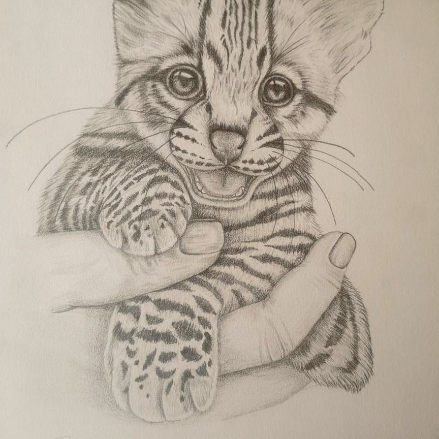 Рисую ваших питомцев