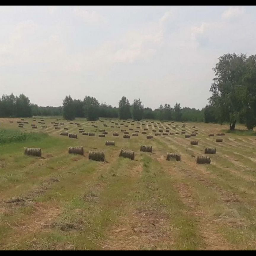 Продам сено в мини ролонах