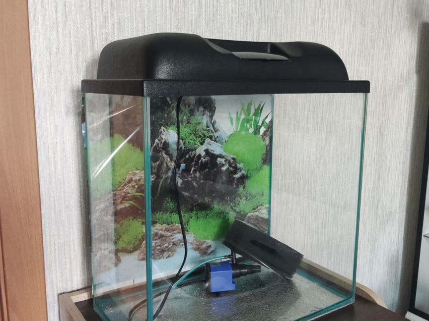 Аквариум и фильтр