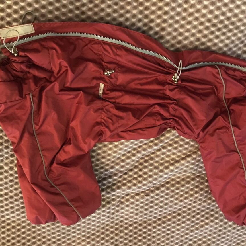 Одежда для собак средних пород бу