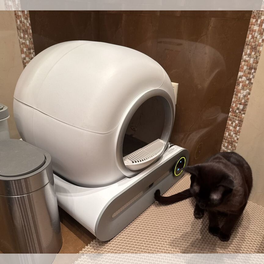 Автоматический лоток для кошек бу