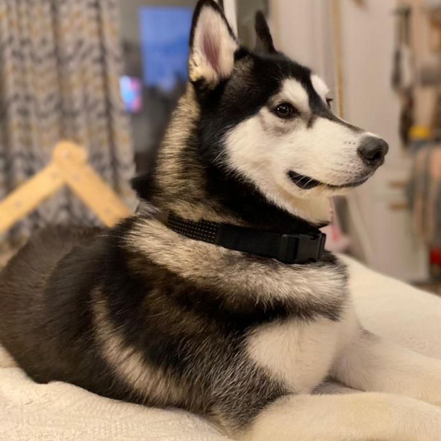 Славный парень ждёт своего человека