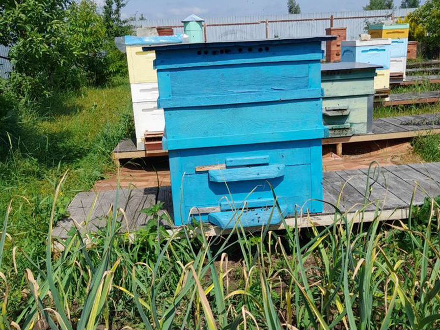 Улей лежак 16 рам