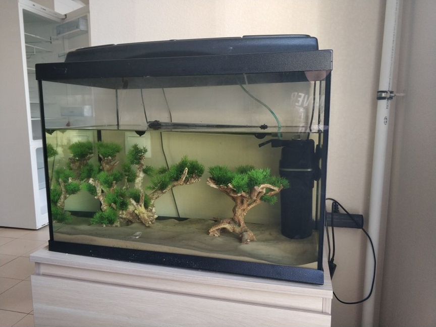 Аквариум gessa 100 литров