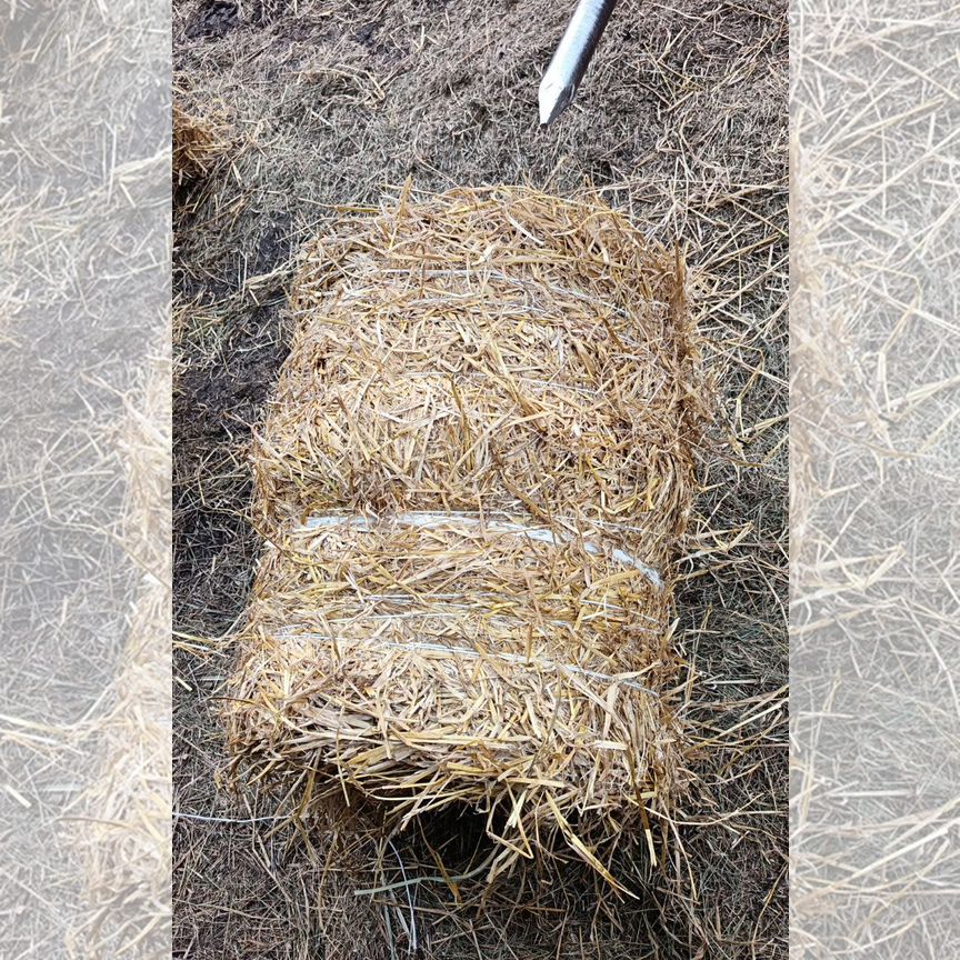 Солома в рулонах омская область