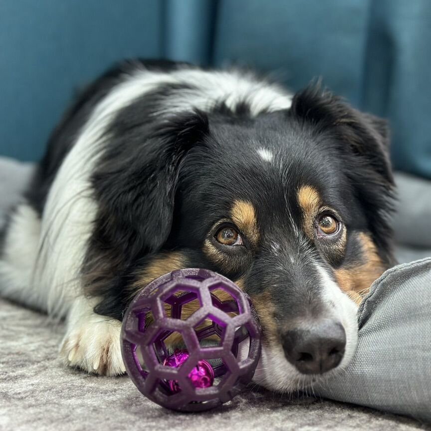 Мяч для собак с погремушкой 90 мм
