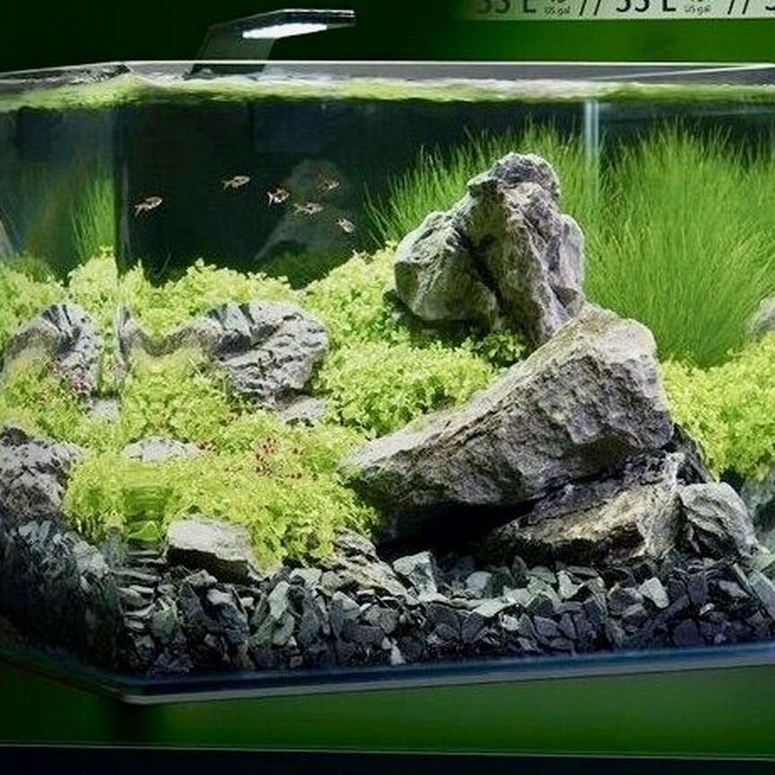 Аквариум Dennerle 35 л