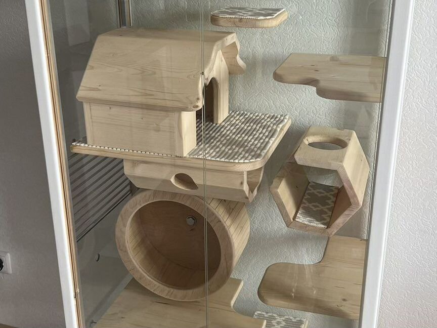 Витрина для шиншилл