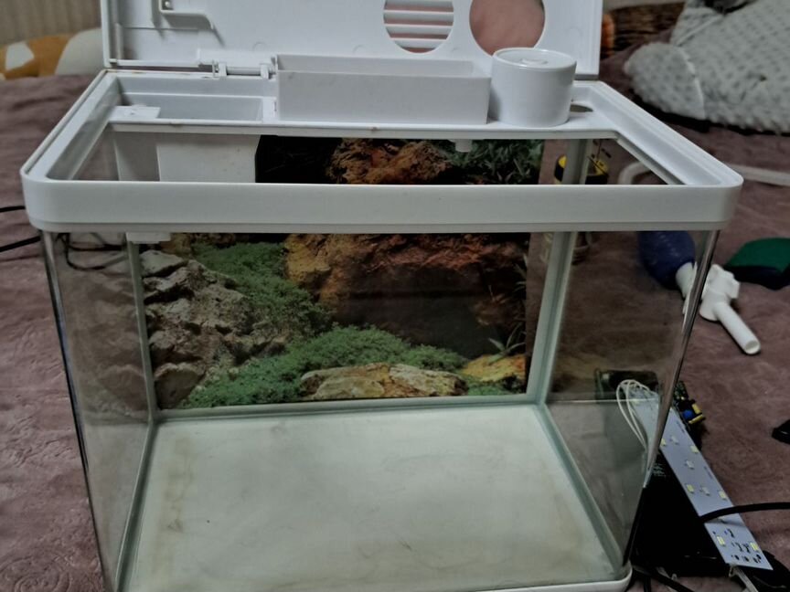 Аквариум
