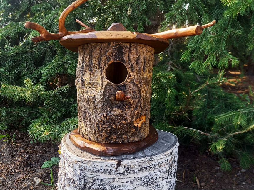 Бельчатник