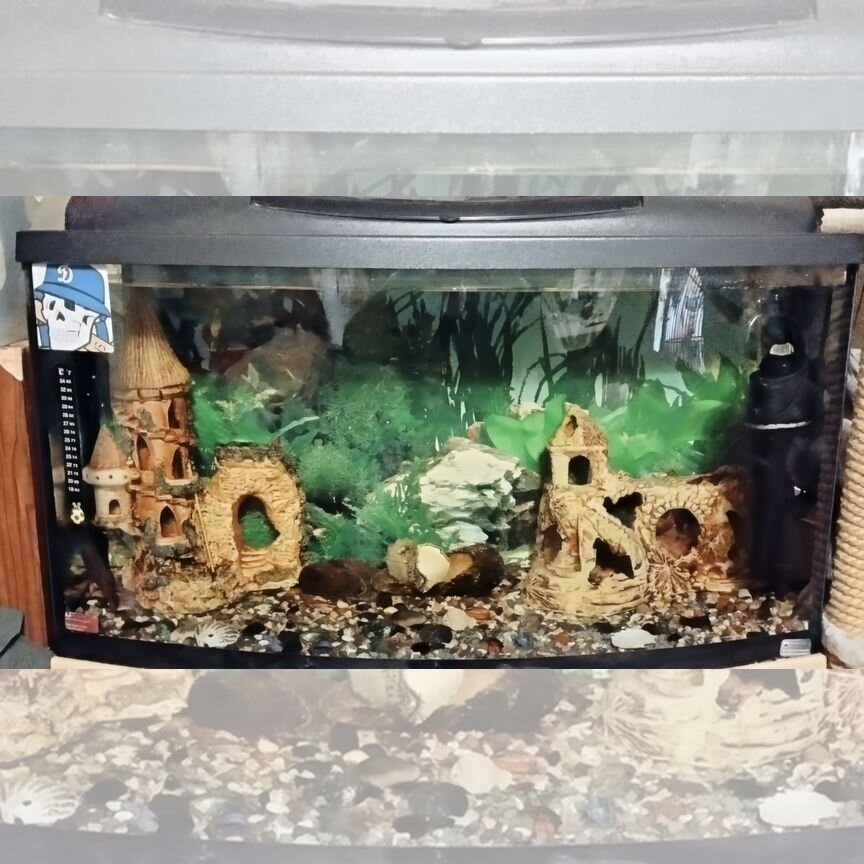 Аквариум с тумбой