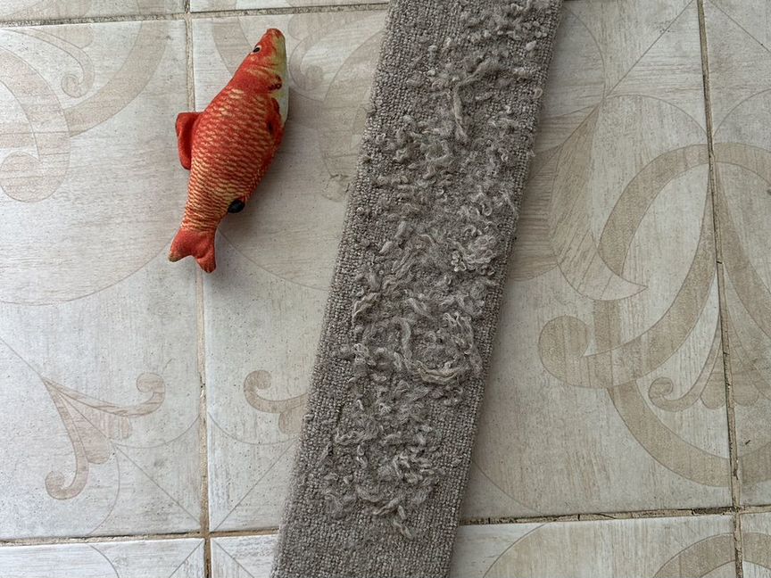 Когтеточка и рыбка в подарок