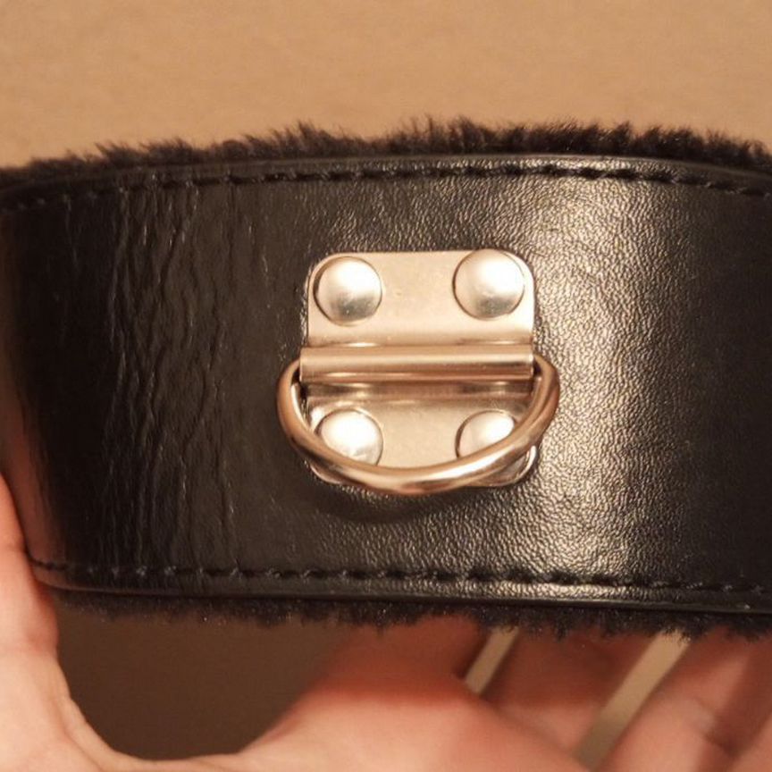 Ошейник для взрослого Квадробера