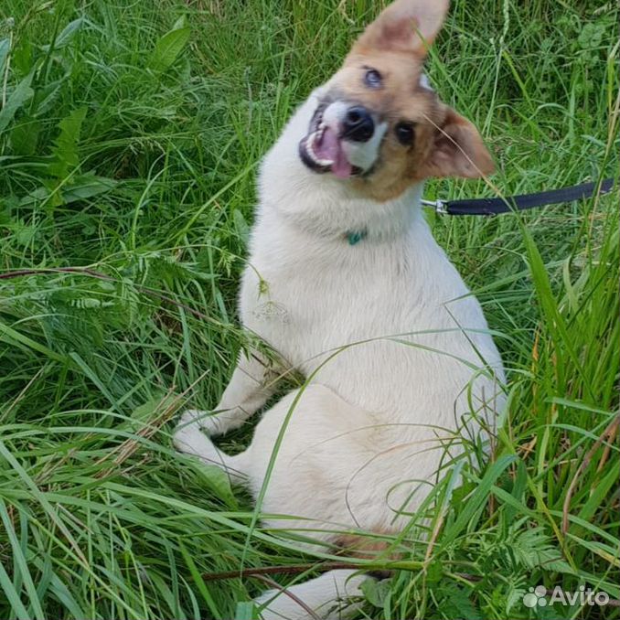 Макс очень ждёт