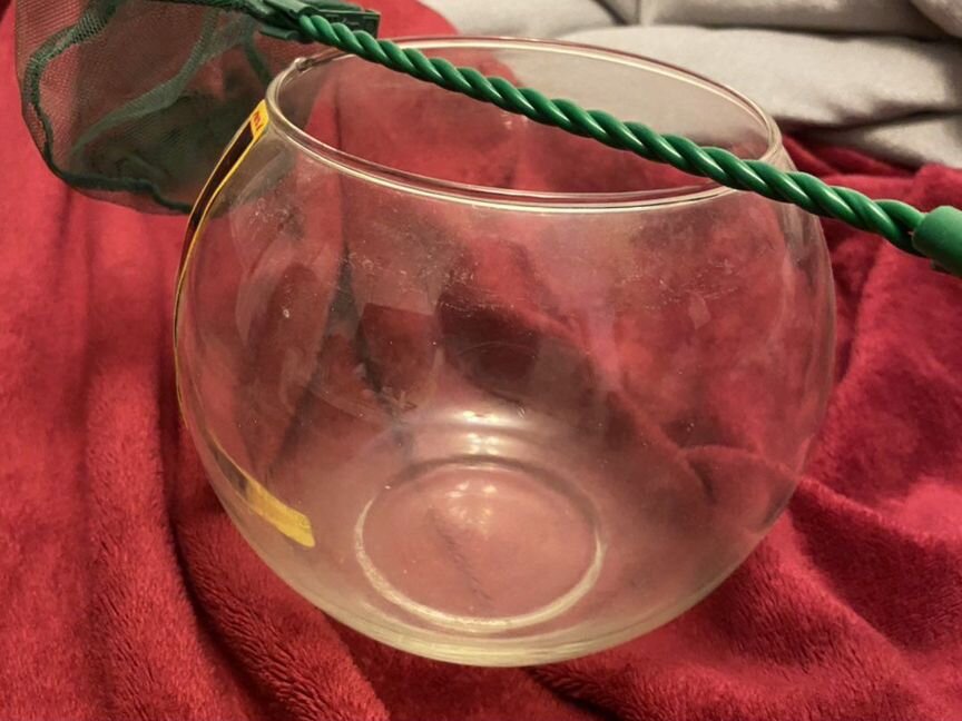 Аквариум и сачок