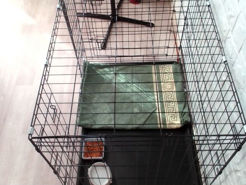 Клетка вольер для собак