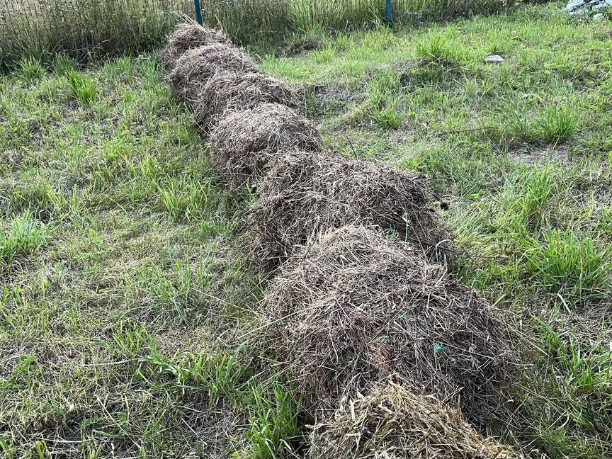 Сено в рулонах 2023