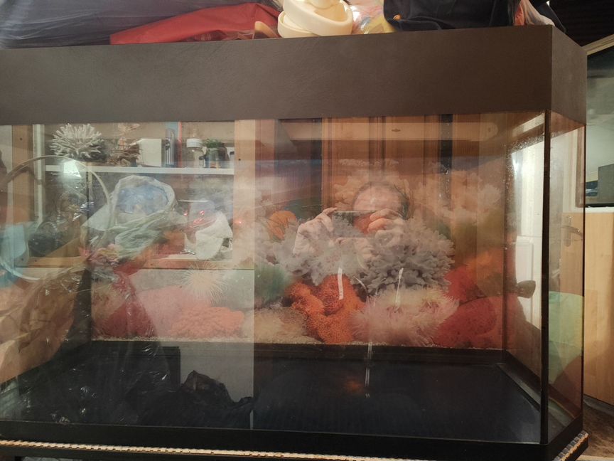 Аквариум с тумбой 230л, 100*55*40 см