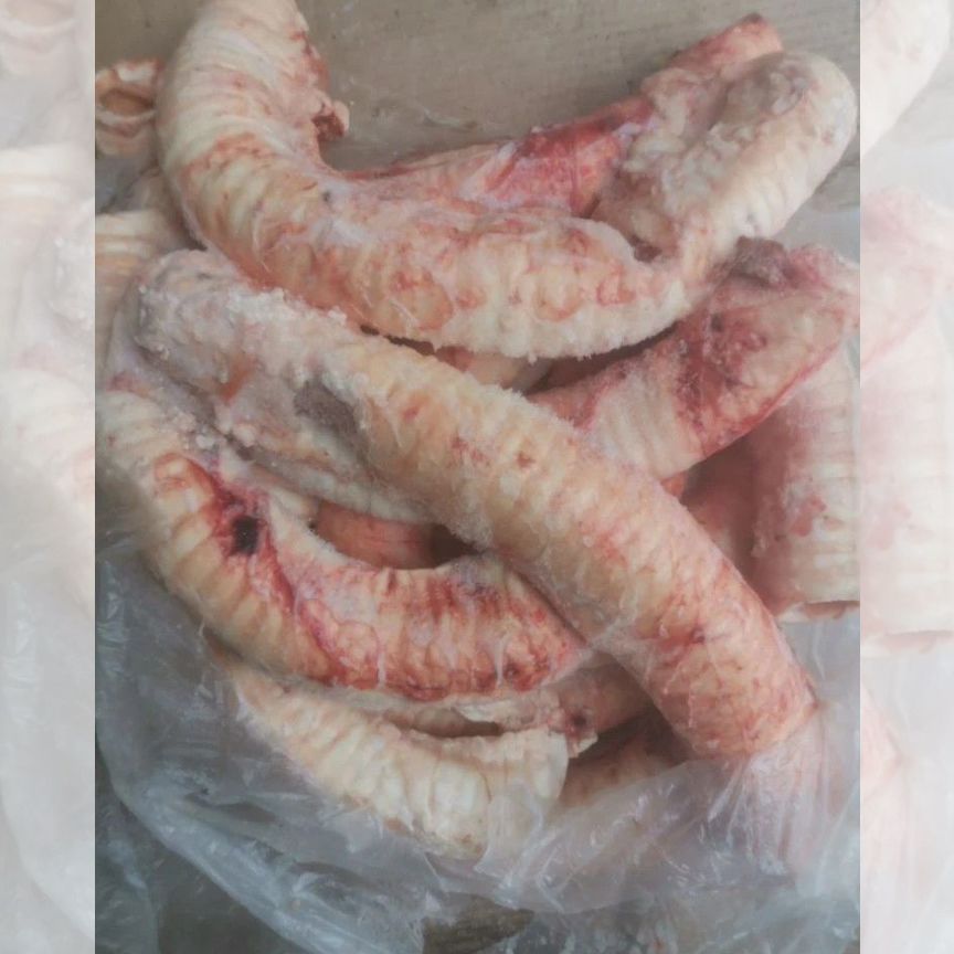 Трахея говяжья