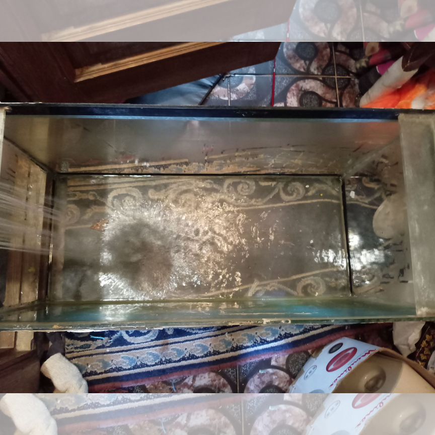 Очень большой аквариум