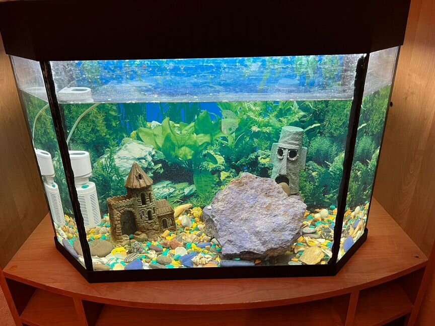 Аквариум с рыбками
