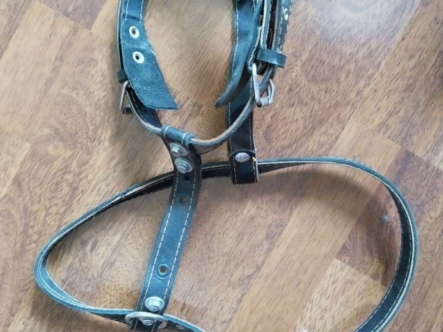 Собачья сбруя, шлейка среднего размера